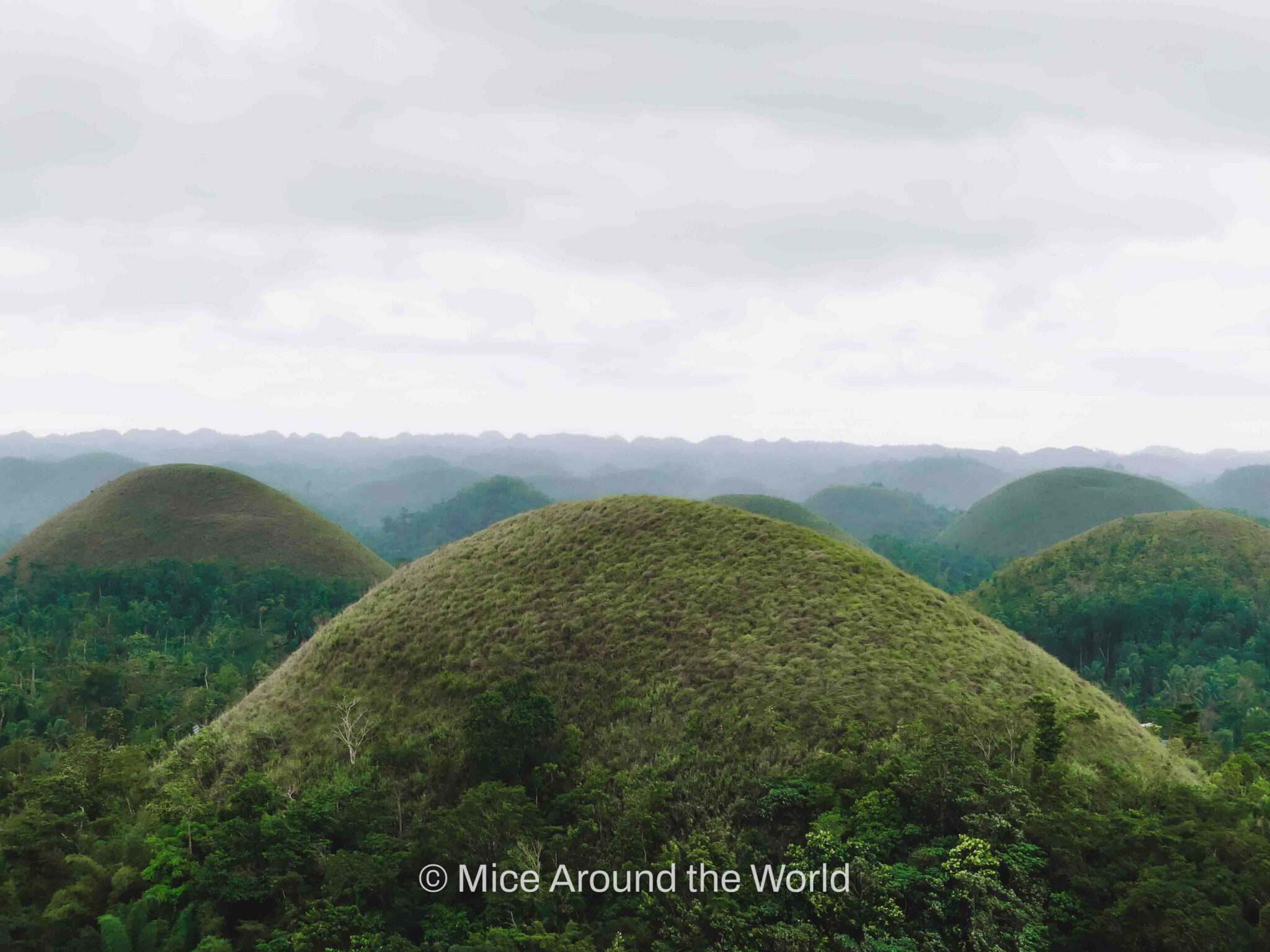 7 Best things to do in Bohol, Philippines - Mice Around The World